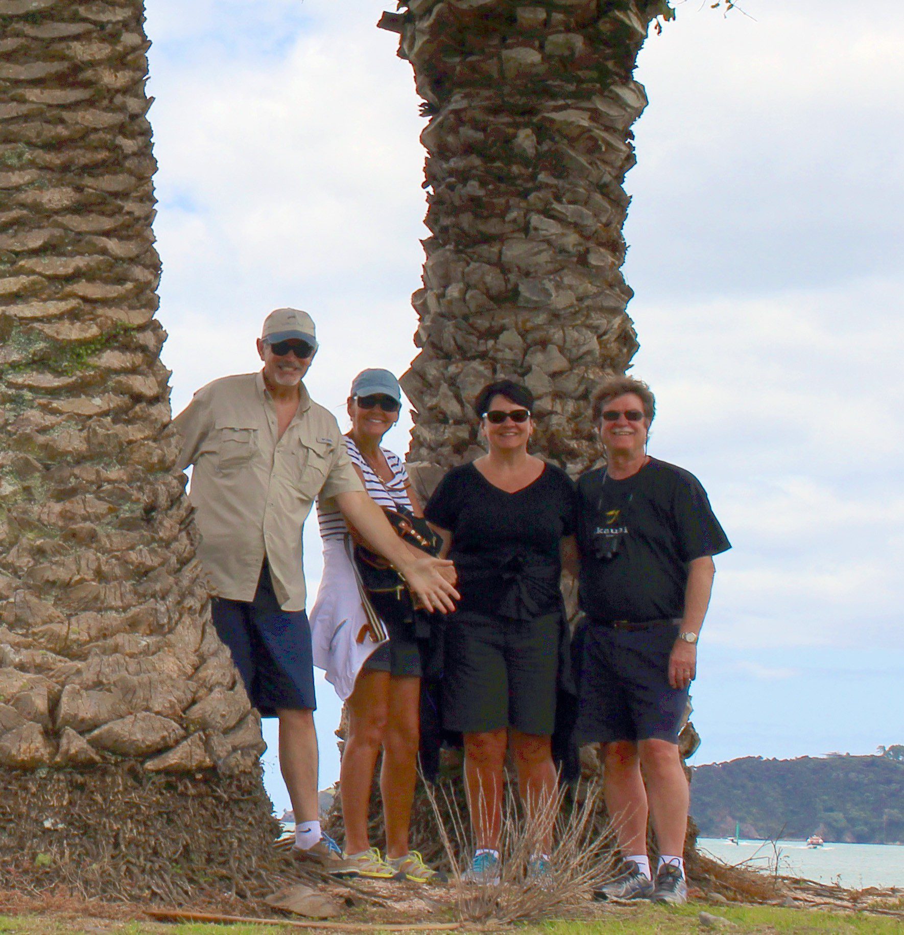 Alicia “Lisa” Lowe - Estate Planning and Business Attorney - Schwabe ...