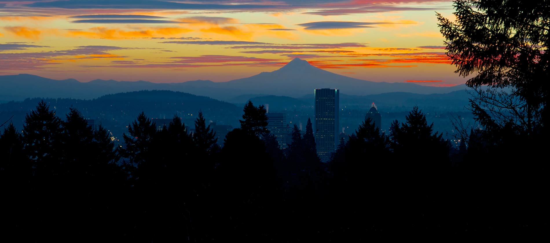 Penny Godwin - Schwabe